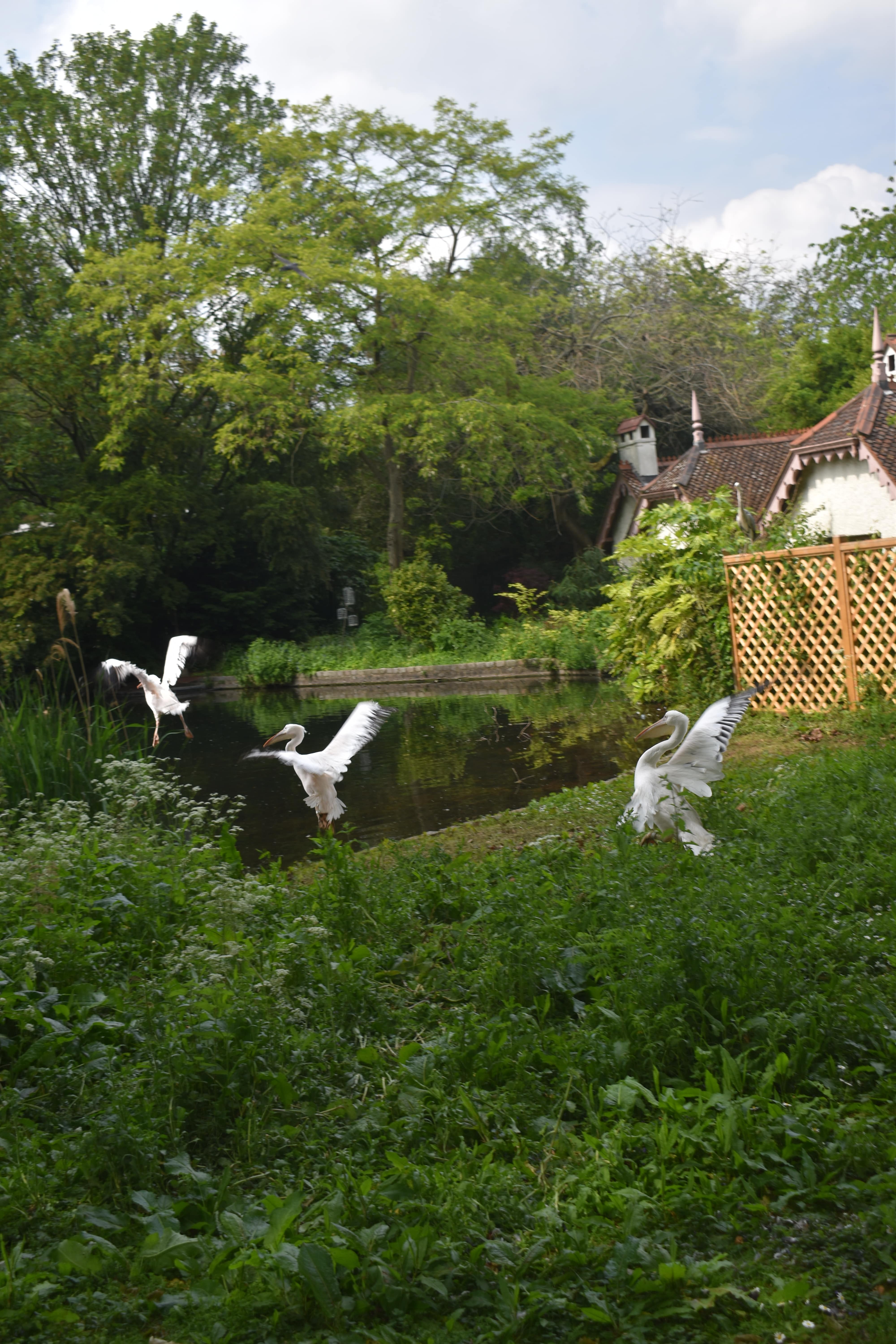 London2019 (154)-min – Marc's Travels